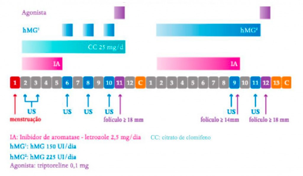 DuoStim - IPGO - Centro de Medicina Reprodutiva